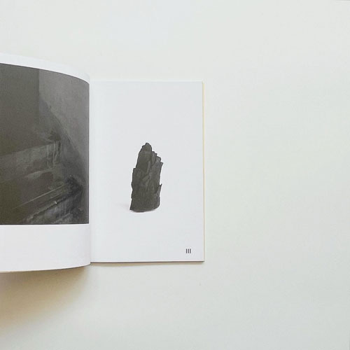 古本 dessin: Felix Wilson: Nocturnal Ecologies（Felix Wilson. Perimeter ...